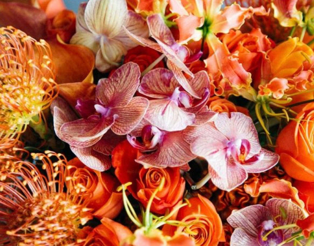 AUTUMN – Stems Miami