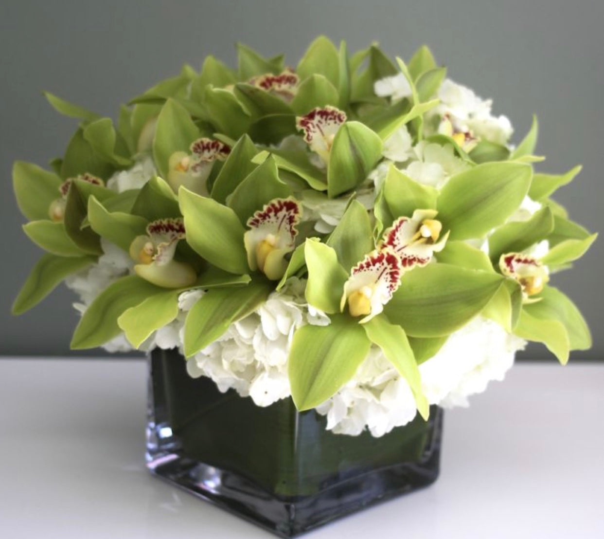 Tropicana – Stems Miami